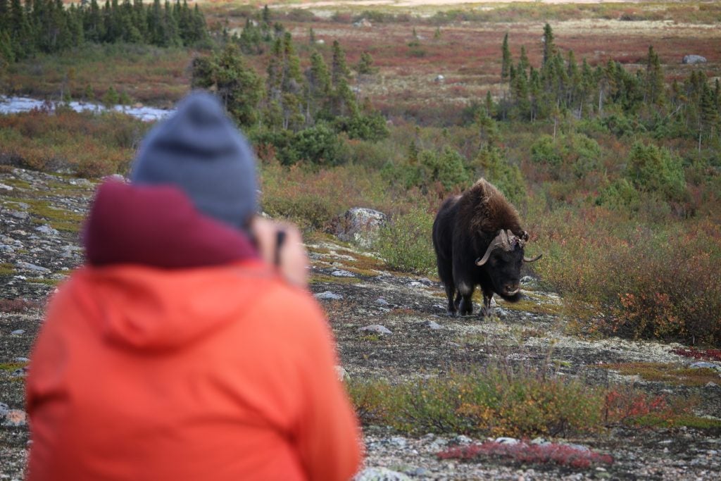 About NWT - Spectacular NWT